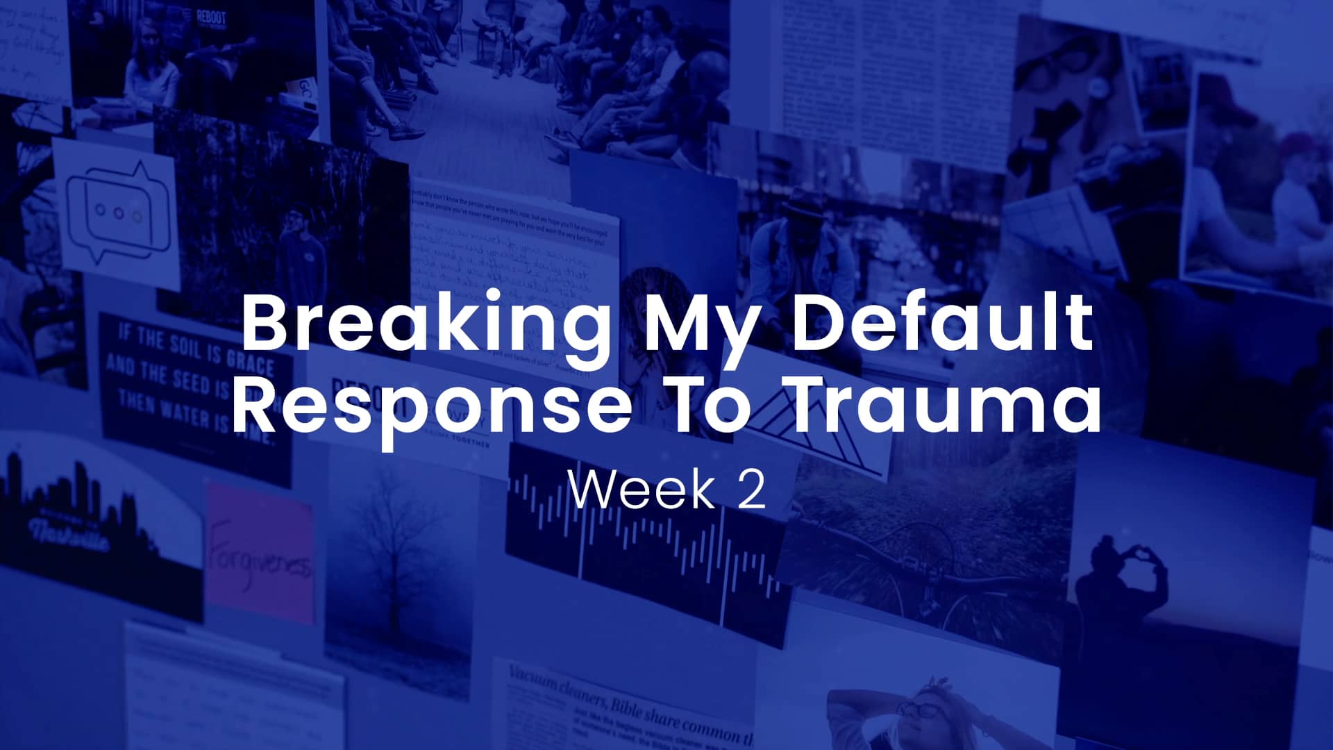 Trauma Reboot Teaching Session 2 on Vimeo