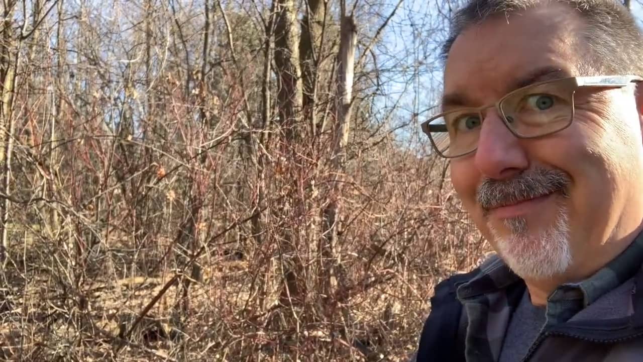 MN Biomes: A walk through a deciduous forest on Vimeo