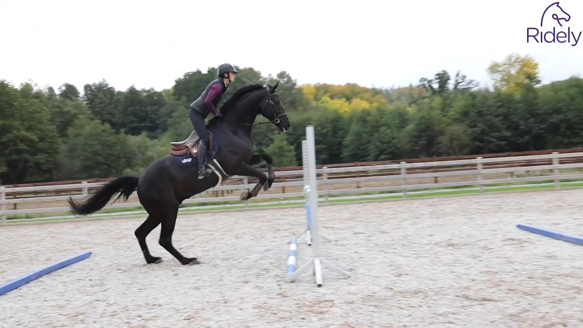 Succeed with the triple combination | Ridely