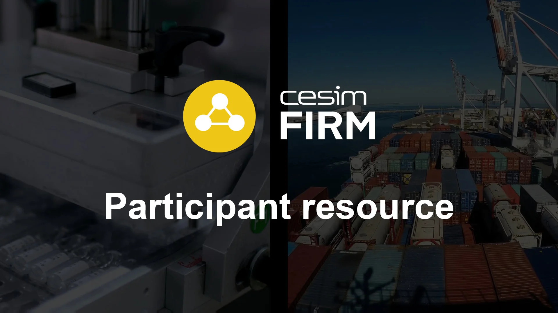Cesim Firm - Participant resource