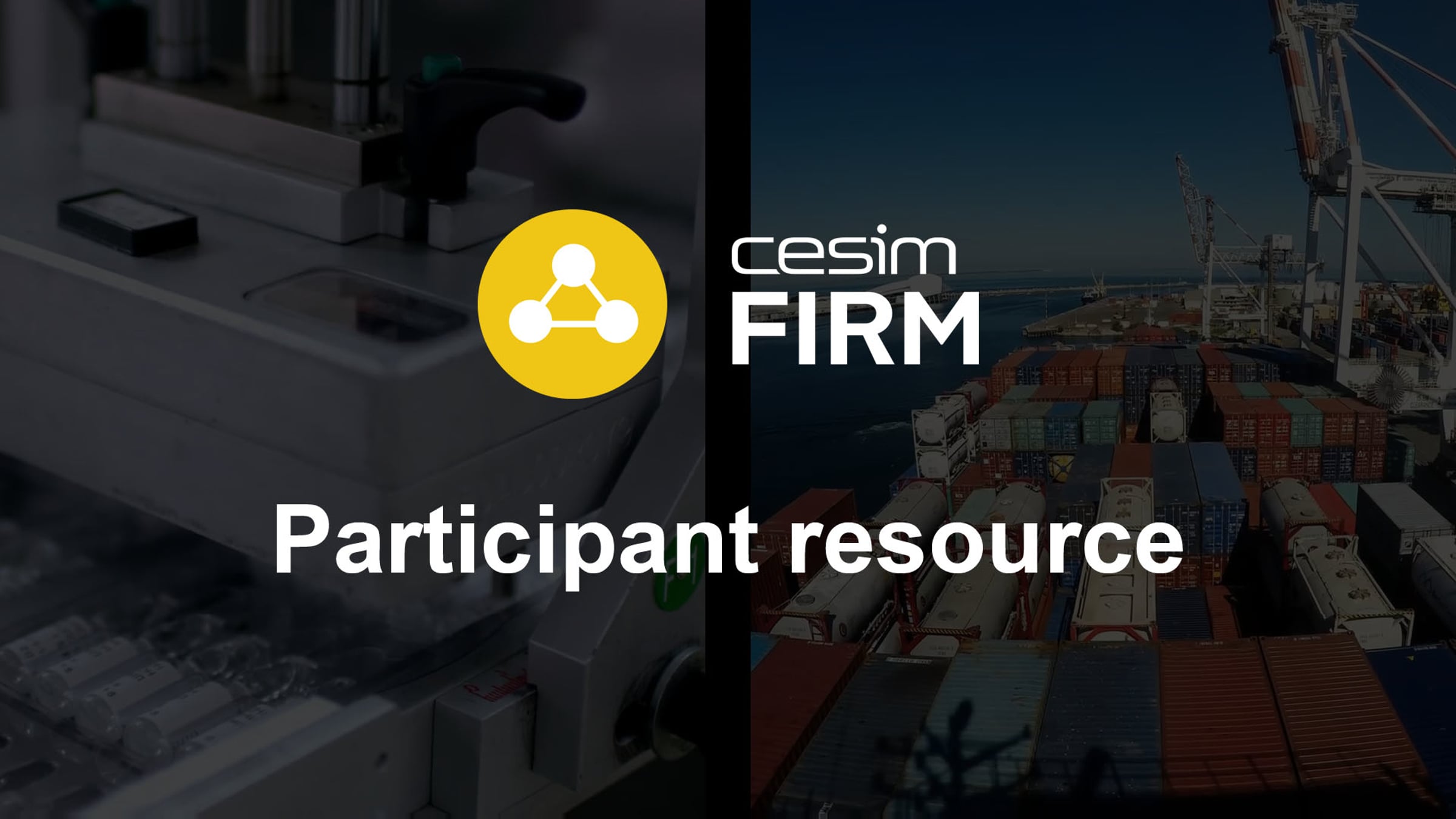 Cesim Firm - Participant resource
