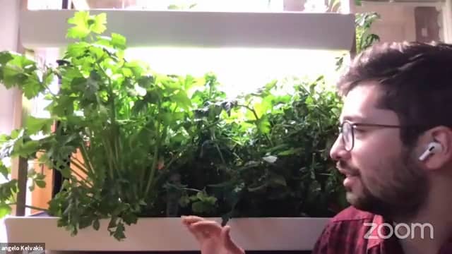 PLANT AMA: Pruning, Pollinating, and other questions on Vimeo