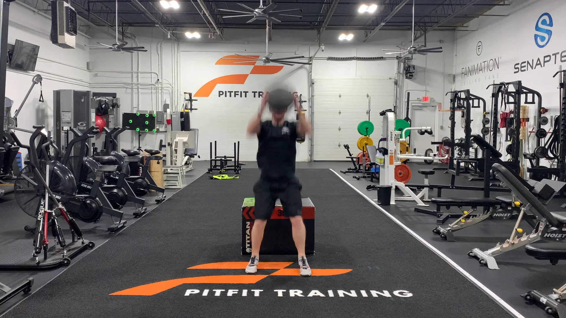 PitFit Training Exercise Database - Loaded Box Step Offs on Vimeo