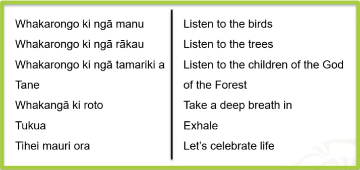 Karakia - Whakarongo ki ngā manu on Vimeo