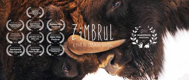 ZIMBRUL | White Fox Pictures