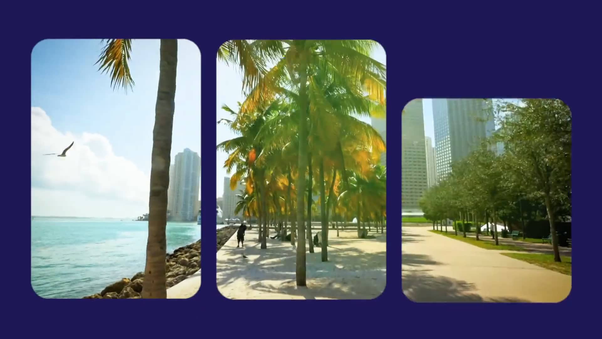 TLC STRIP PROMO 45 SEC on Vimeo