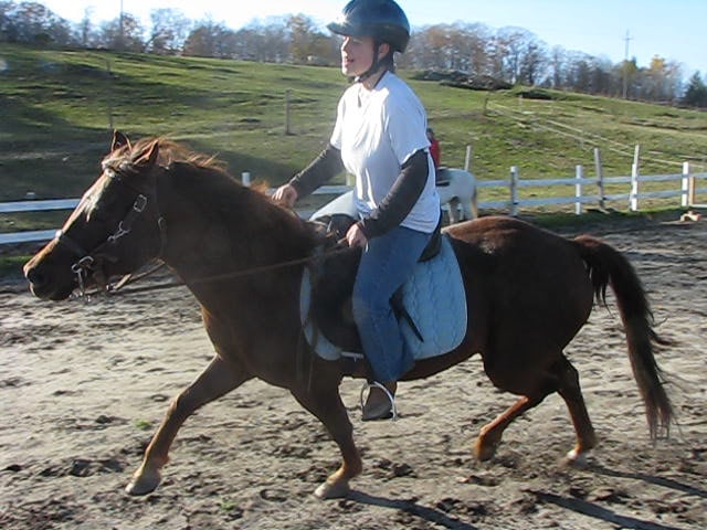 Canter Circle on Vimeo