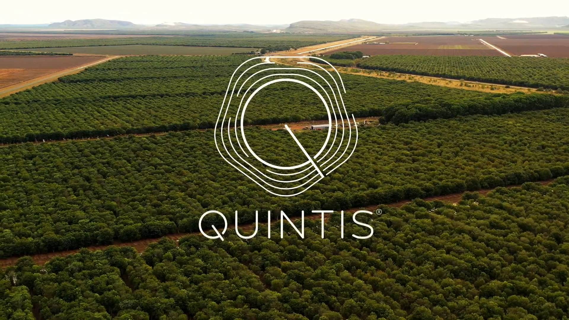 Quintis Corporate Video on Vimeo