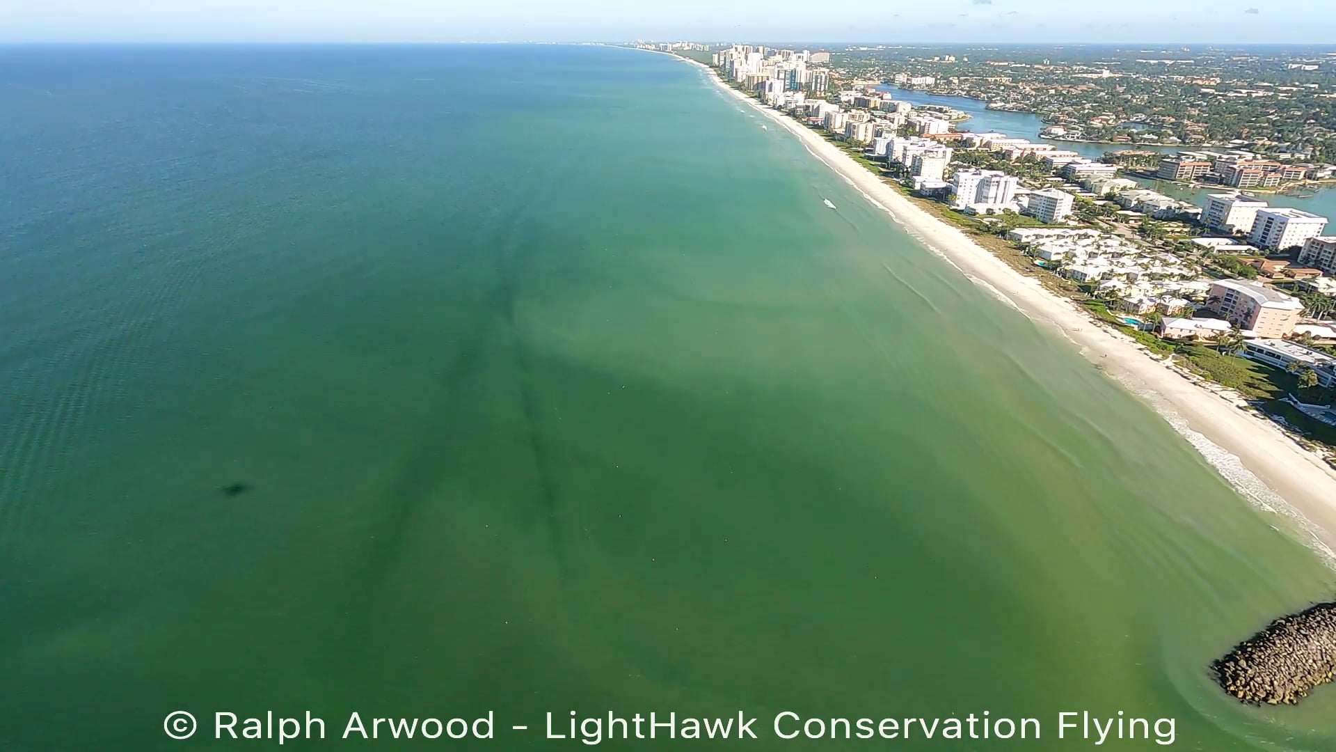 Red Tide Naples Florida 12-16-2020_
