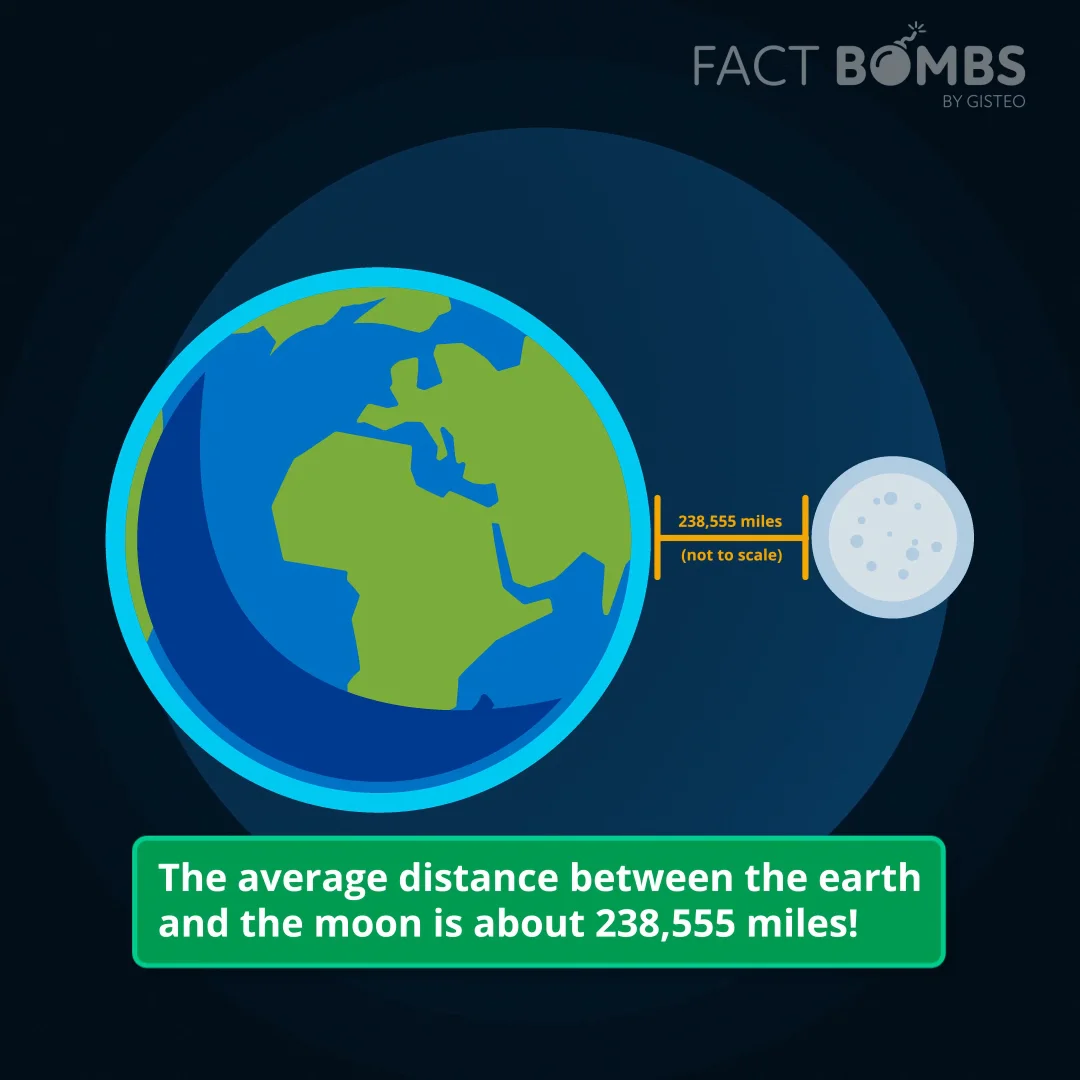 Fact Bomb 3 on Vimeo