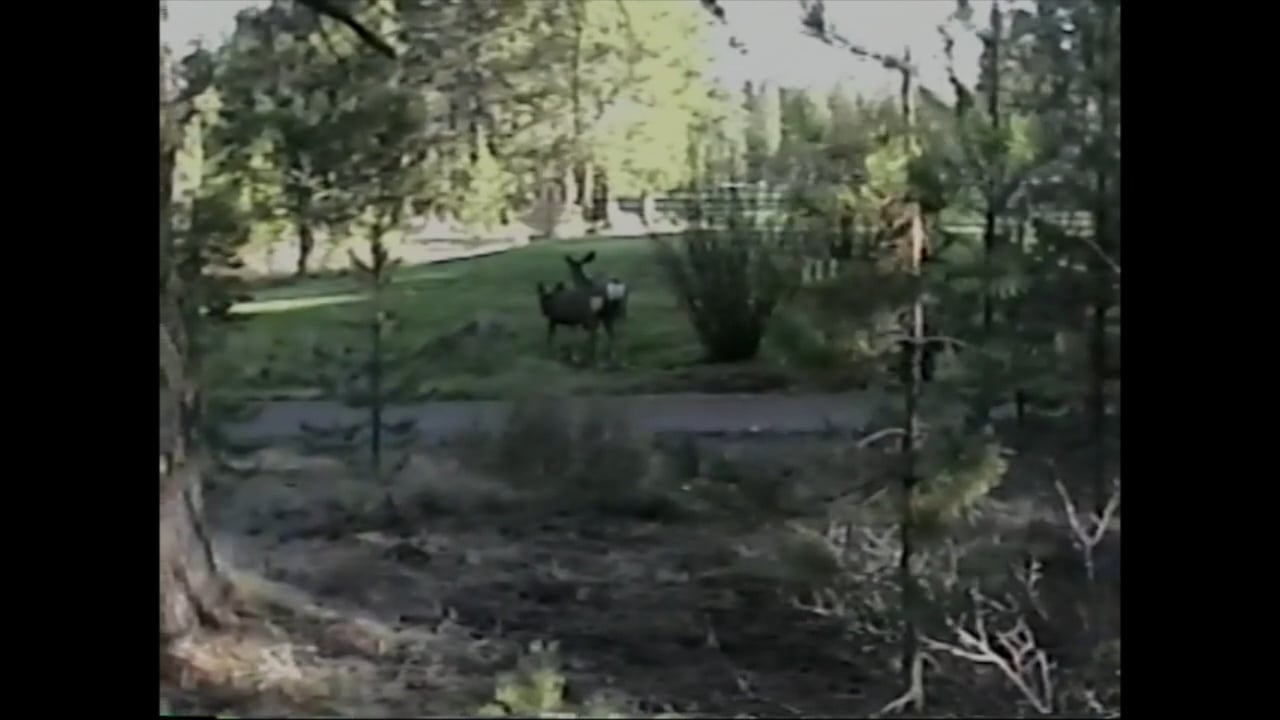 Wilkins House 1997 on Vimeo