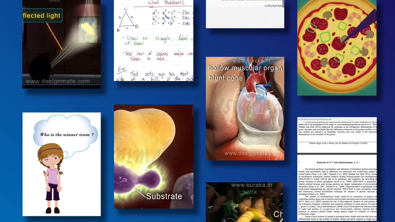 MD-showreel (720) on Vimeo