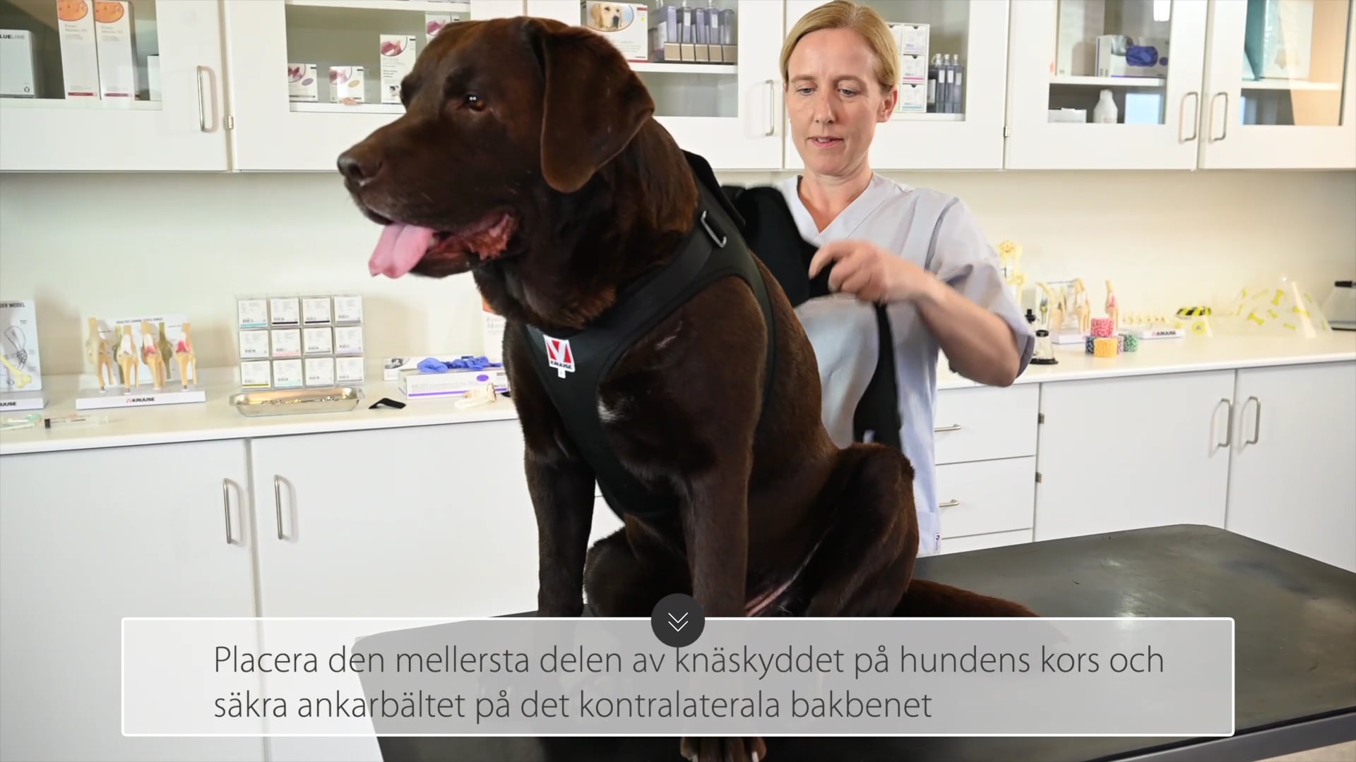 Video to web & download - KRUUSE Rehab Pro Knee Protector SV on Vimeo