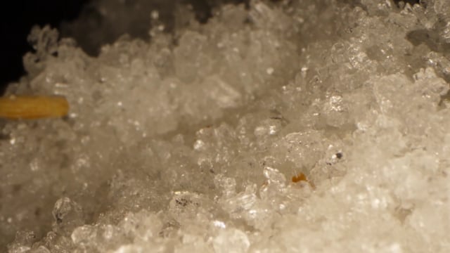 Macro Salt Crystal Free Stock Video - Pixabay
