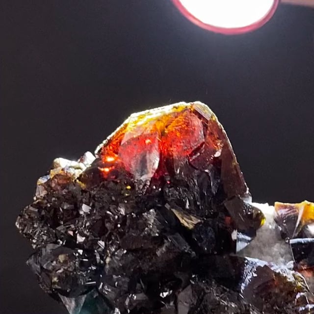 Sphalerite (fine ''Ruby Jack'' crystals) | Elmwood mine, Smith County ...