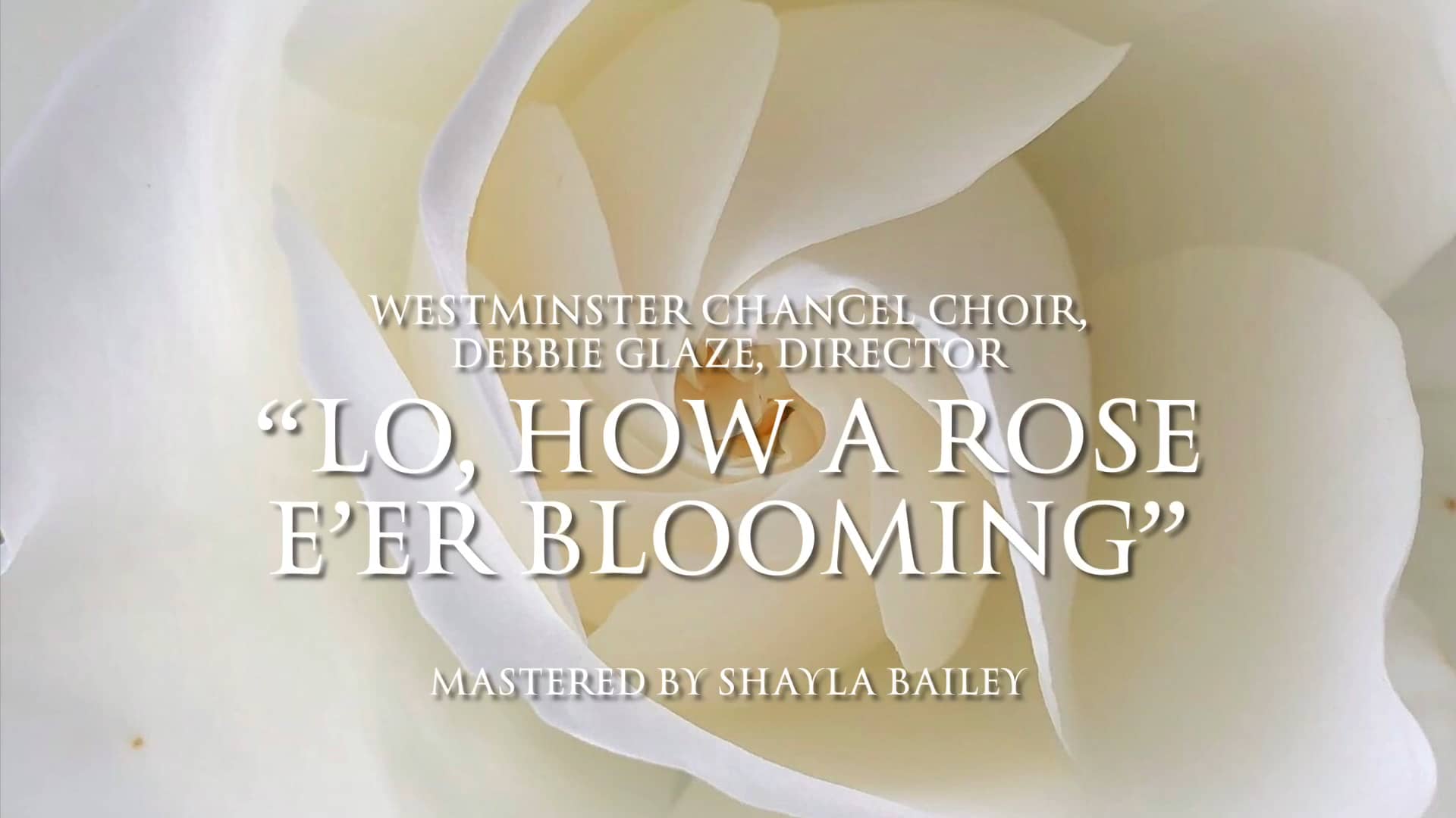 Lo, How a Rose E’er Blooming on Vimeo
