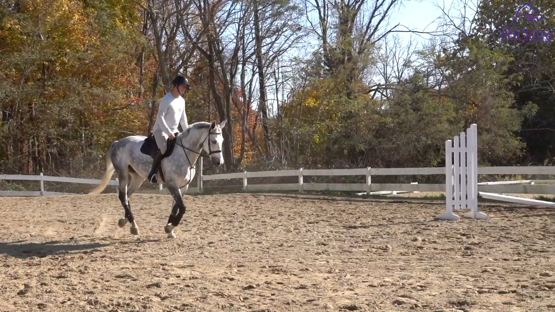 Lead changes | Ridely