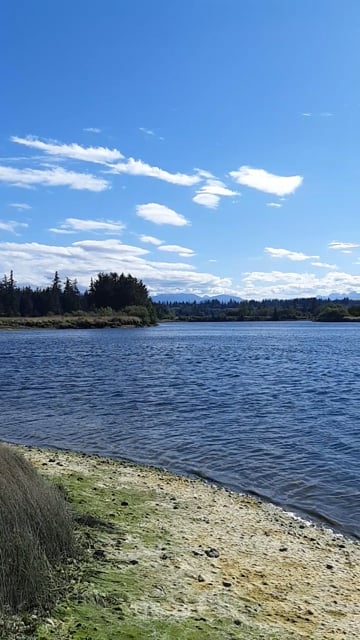 River, Estuary, Water. Free Stock Video - Pixabay