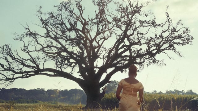 Rachel Lederman on Vimeo