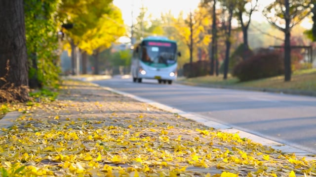 Autumn Leaves Bus Free Stock Video - Pixabay