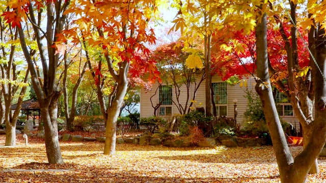 House Home Pathway - Free video on Pixabay