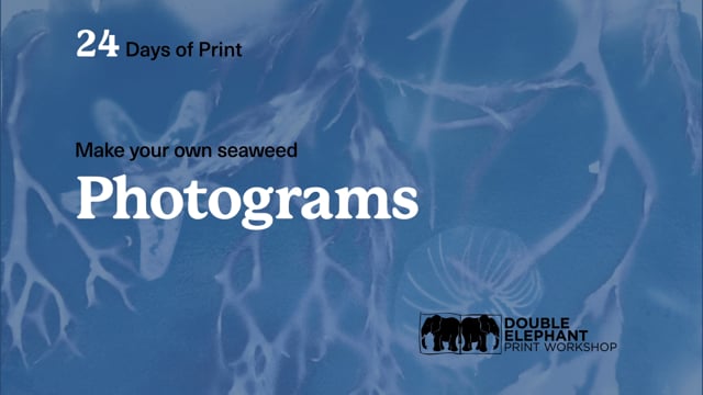 Double Elephant Print Workshop Channel on Vimeo