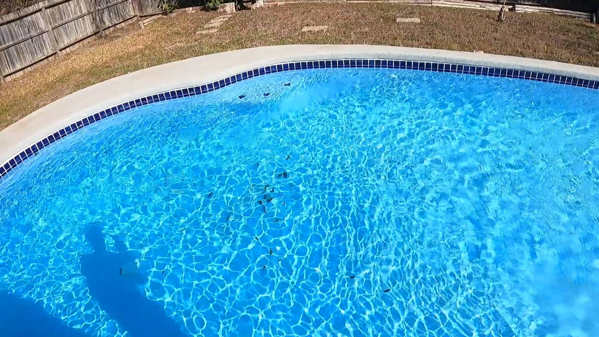 Cleaning our first pool on Vimeo