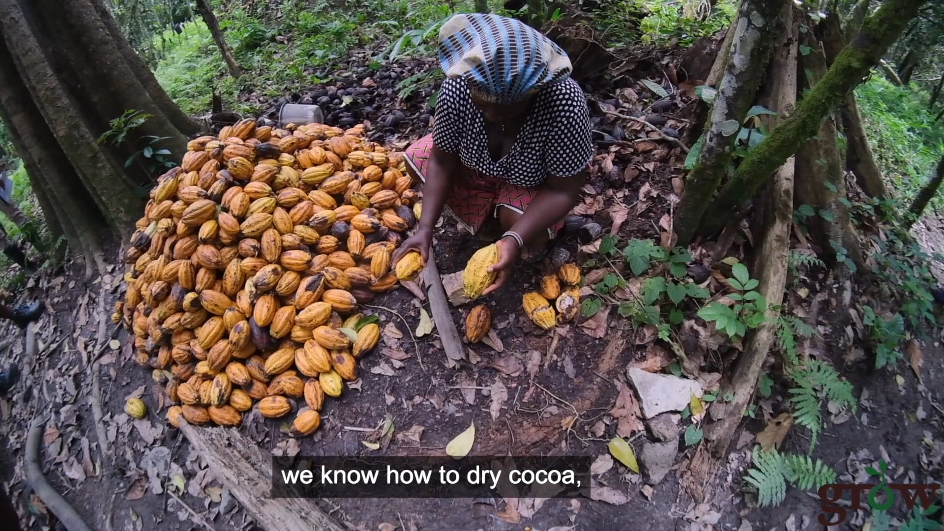 Women in the Liberian cocoa industry on Vimeo