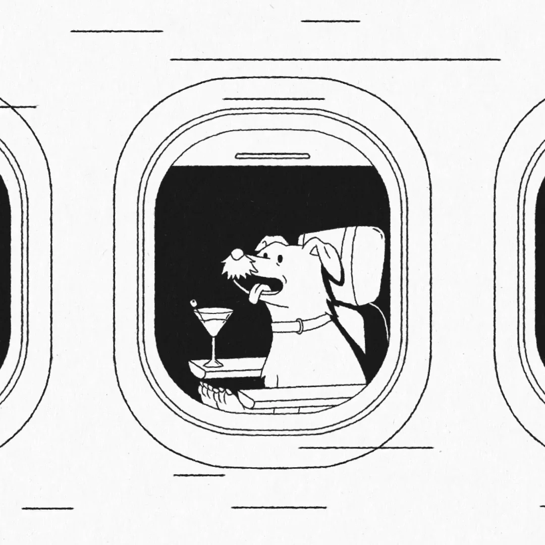 MOVEMBER | Dog on Vimeo