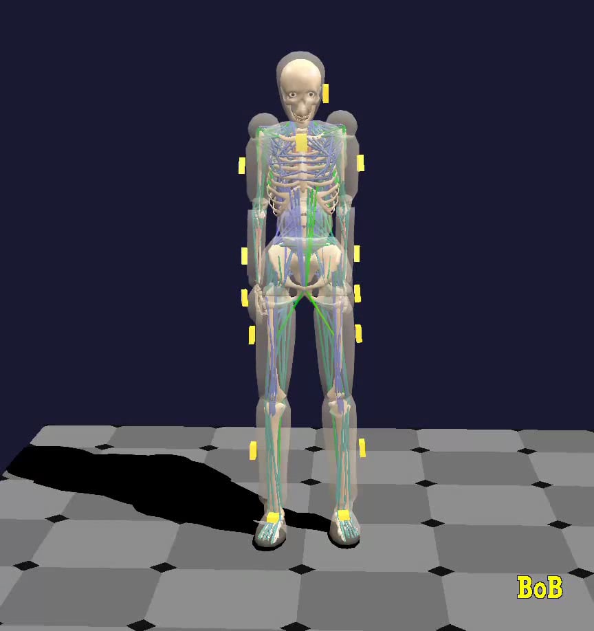 imu_placement on Vimeo