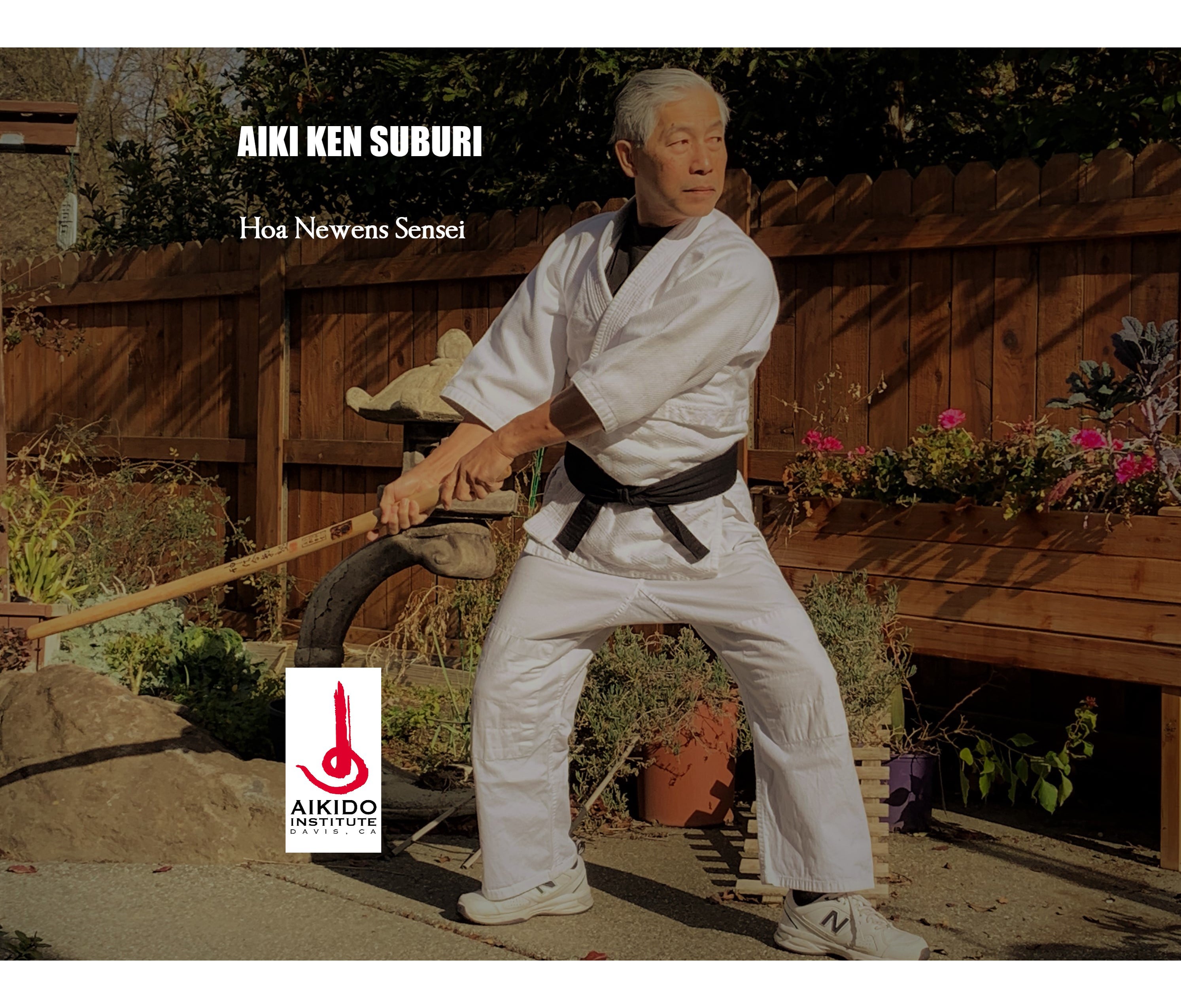 Watch Aiki Ken Suburi Online | Vimeo On Demand on Vimeo