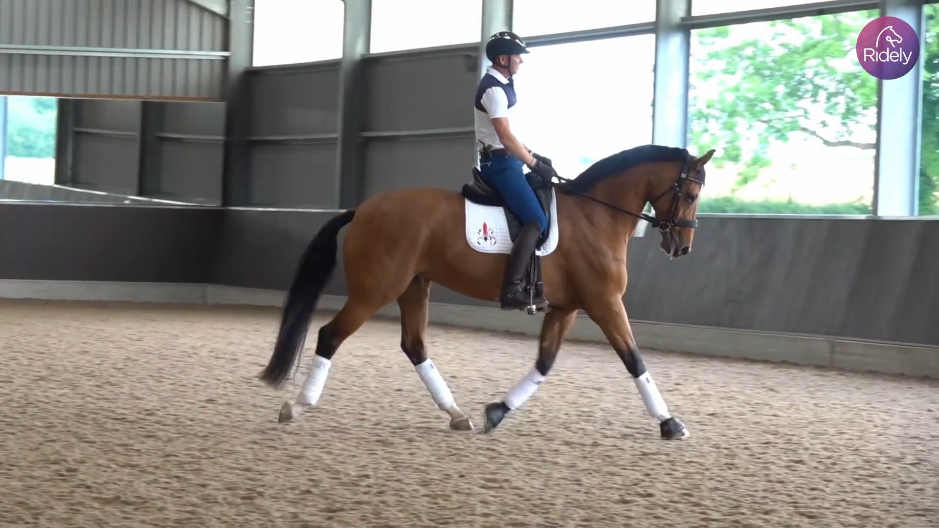 Creating expression in the trot | Ridely