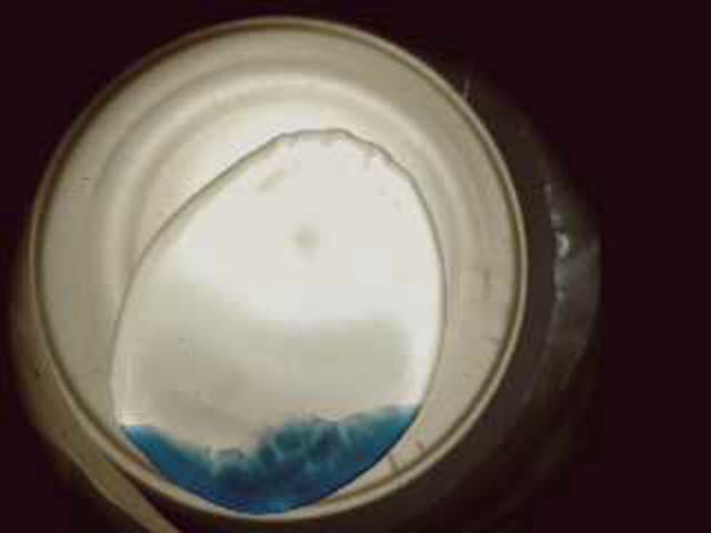 Cymatics projection experiment01 on Vimeo