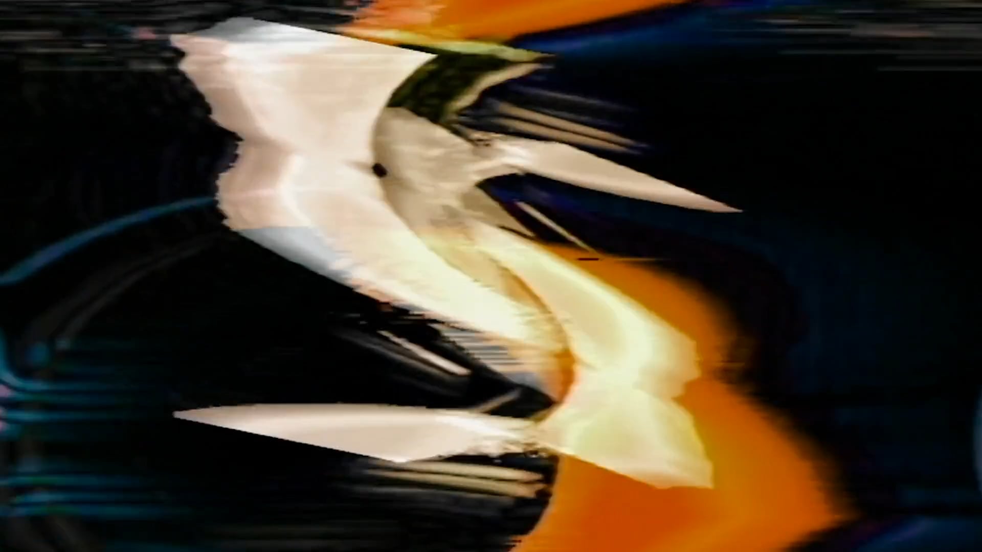 Live A/V improvisation with Mitchell Brown for Vidicon 2020 (11.13.2020 ...