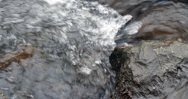 River, Brine, Stone. Free Stock Video - Pixabay