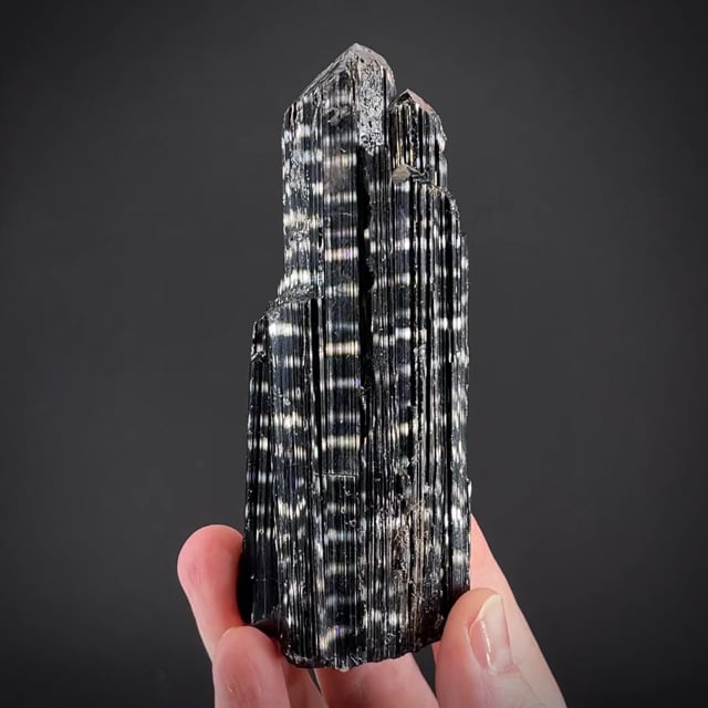 Schorl (Chet Lemanski Coll.) | Minas Gerais, Brazil