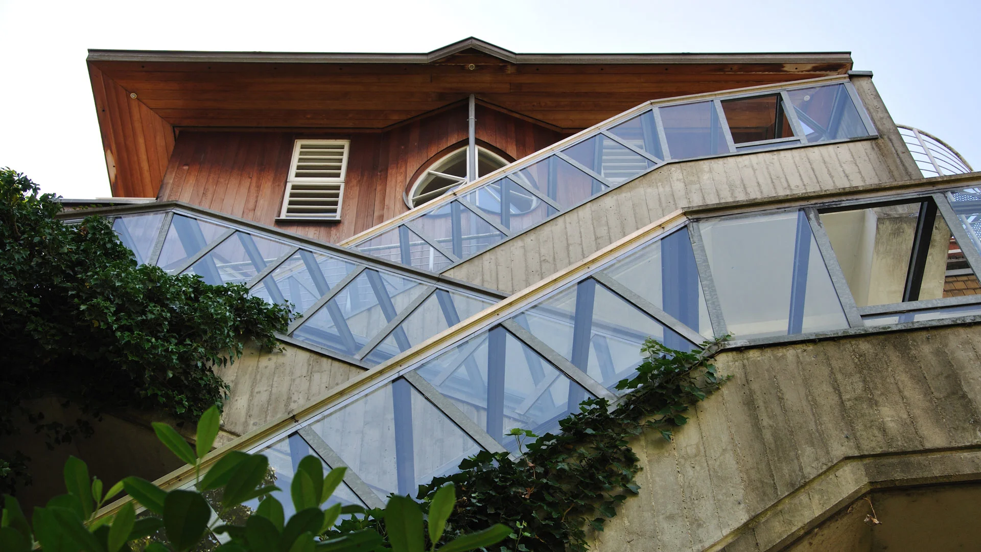 Watch Dreaming of a Treehouse Online | Vimeo On Demand on Vimeo