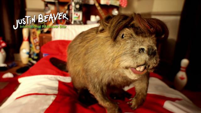 Viva TV 'Justin Beaver - Canadian Man' on Vimeo