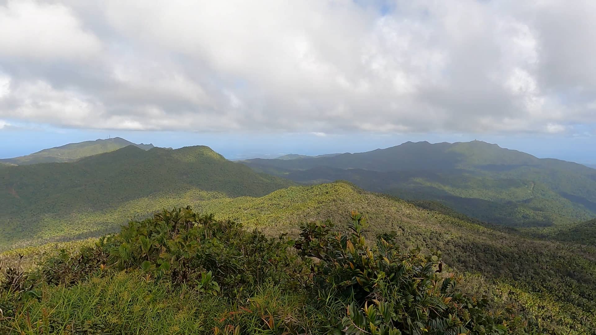 View Pico El Toro, El Yunque. on Vimeo