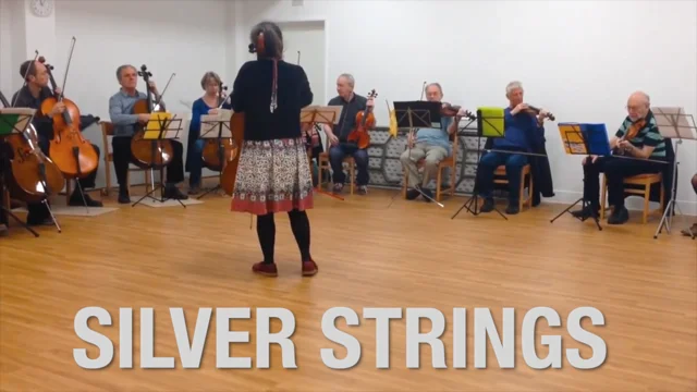 Silver Strings Quartet