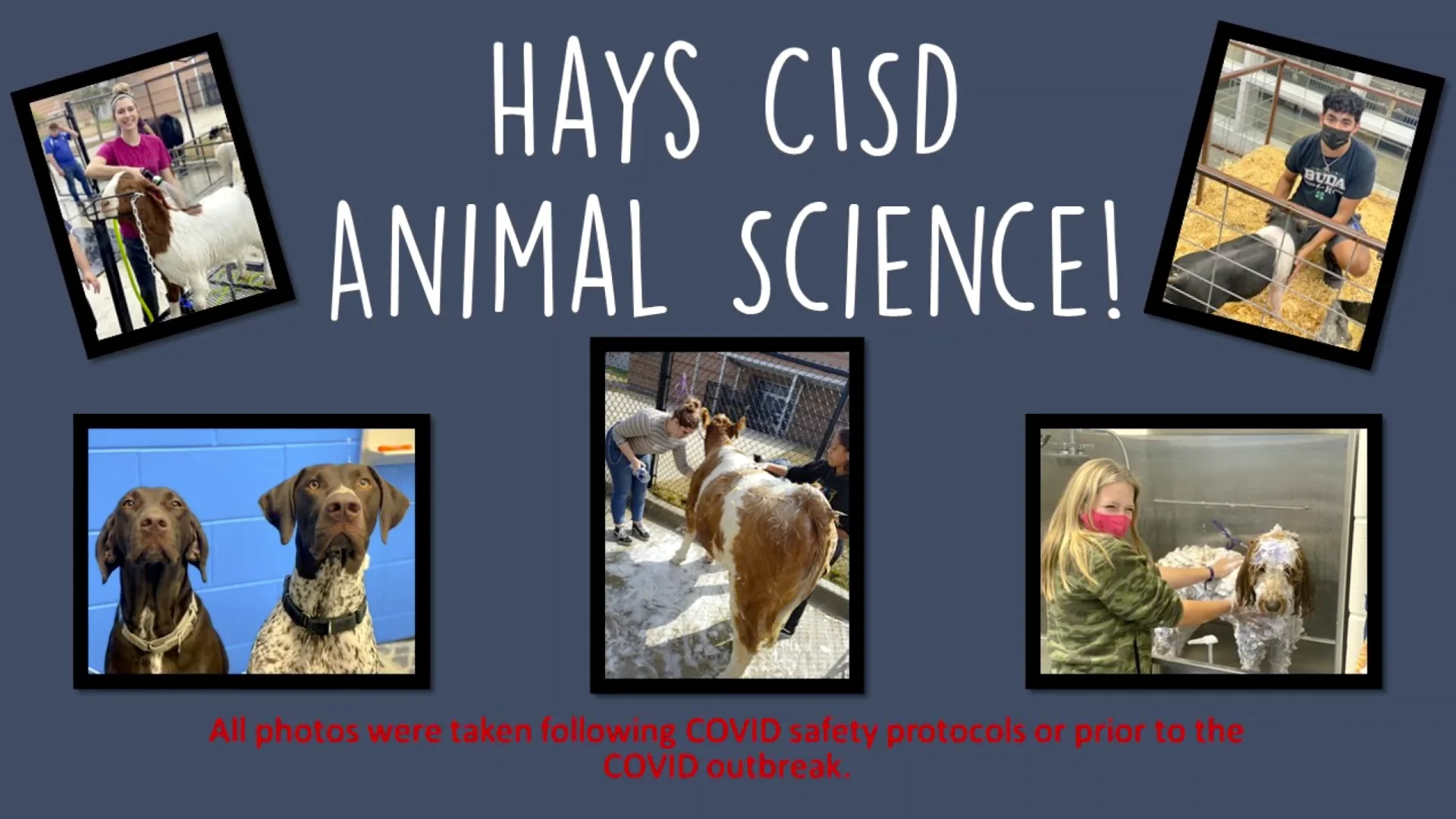 Animal Science Program of Study