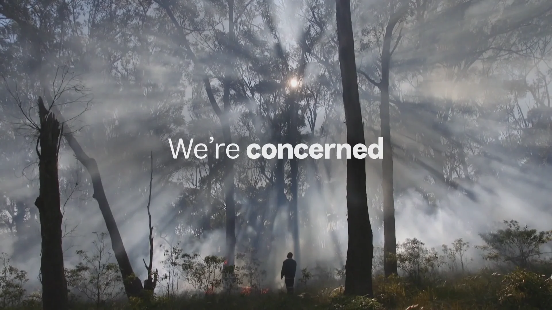 ABC NEWS Promo on Vimeo