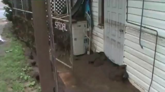 Amanda Gearing Queensland Flood Collection, Series 4: Withcott - Norm ...