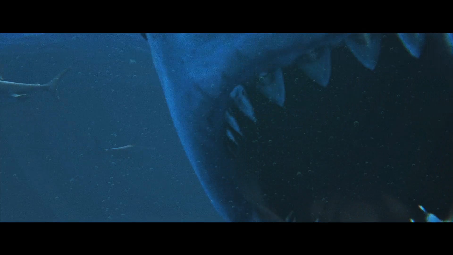 Watch Virus Shark Online | Vimeo On Demand on Vimeo