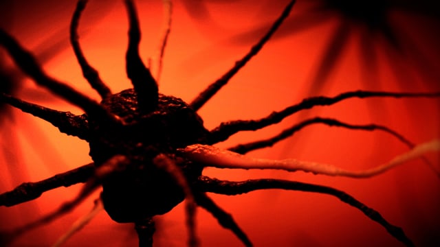 Sarofsky. Health and Wellness.