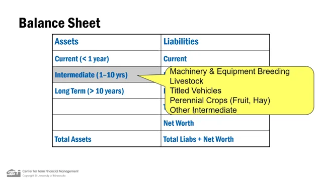 Long Term Liabilities Balance Sheet