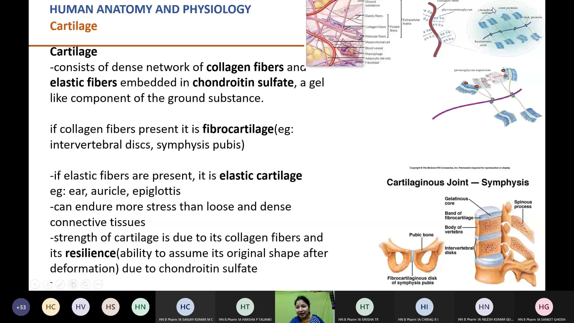 Structure, location and function of connective tissue-Cartilage, bone ...