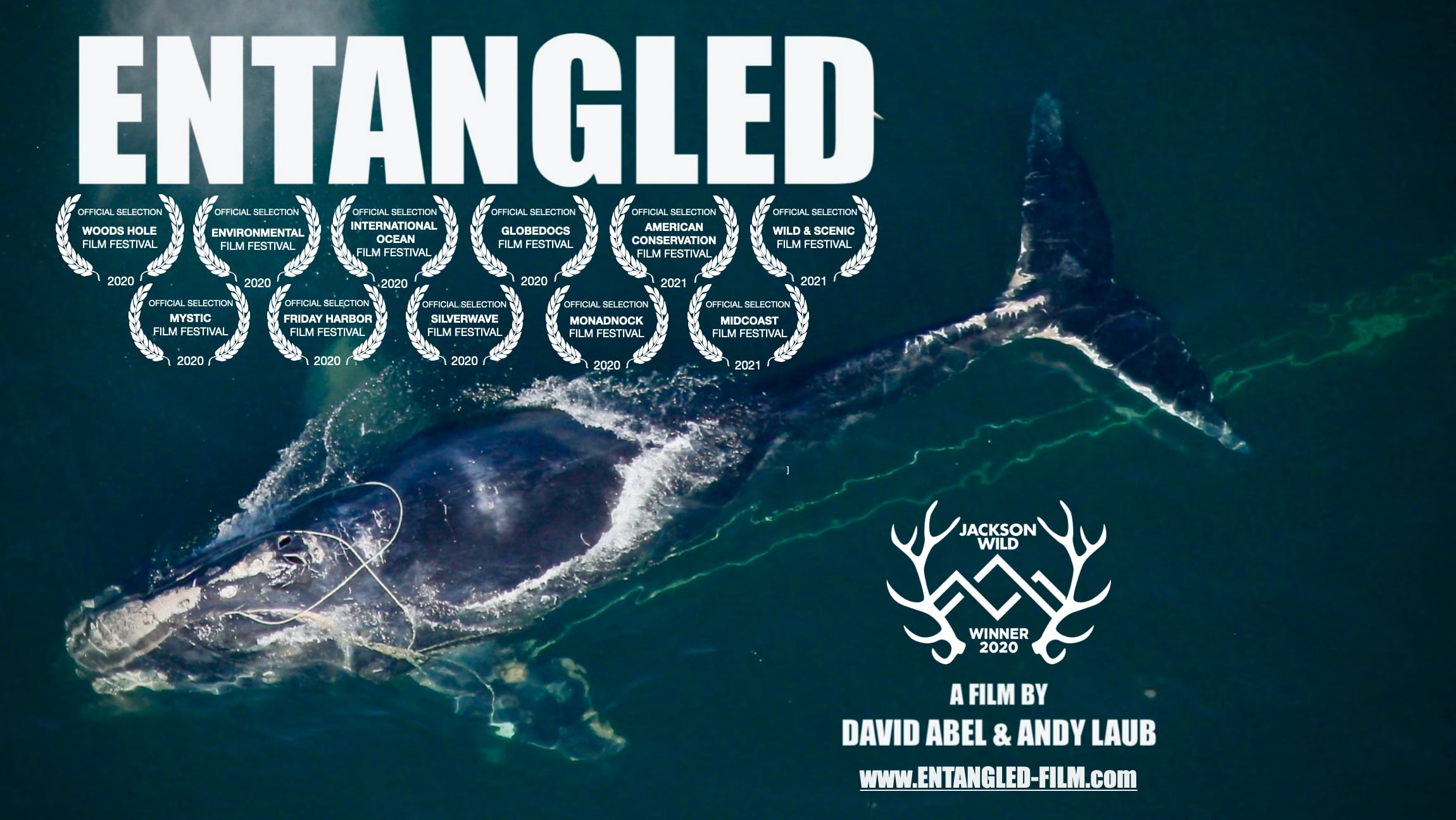 Watch ENTANGLED Online | Vimeo On Demand on Vimeo