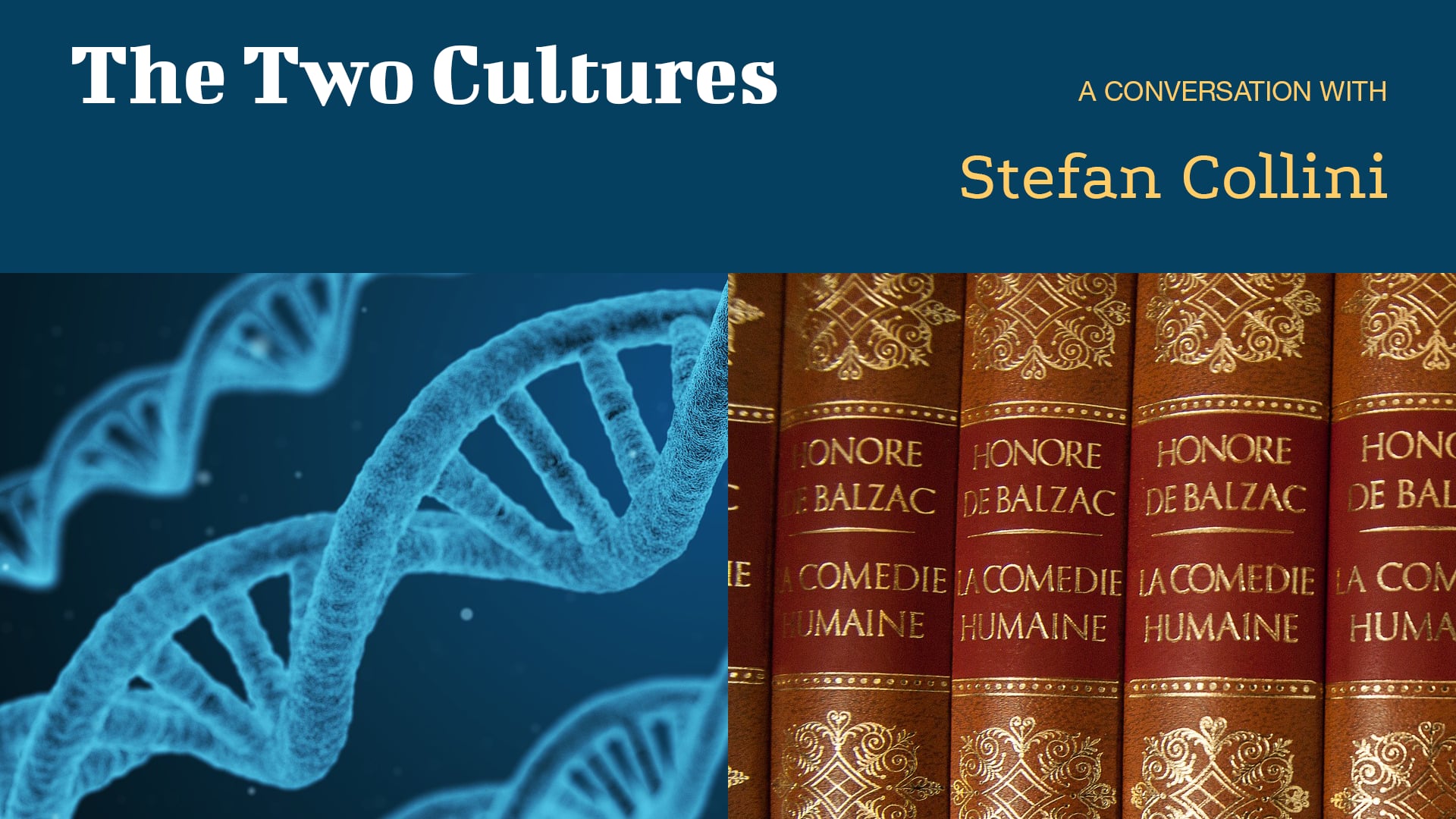 Watch The Two Cultures, Revisited - A Conversation with Stefan Collini ...