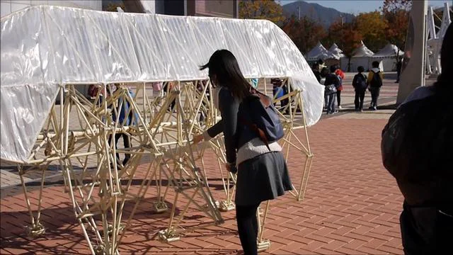 Animaris Ordis on Vimeo